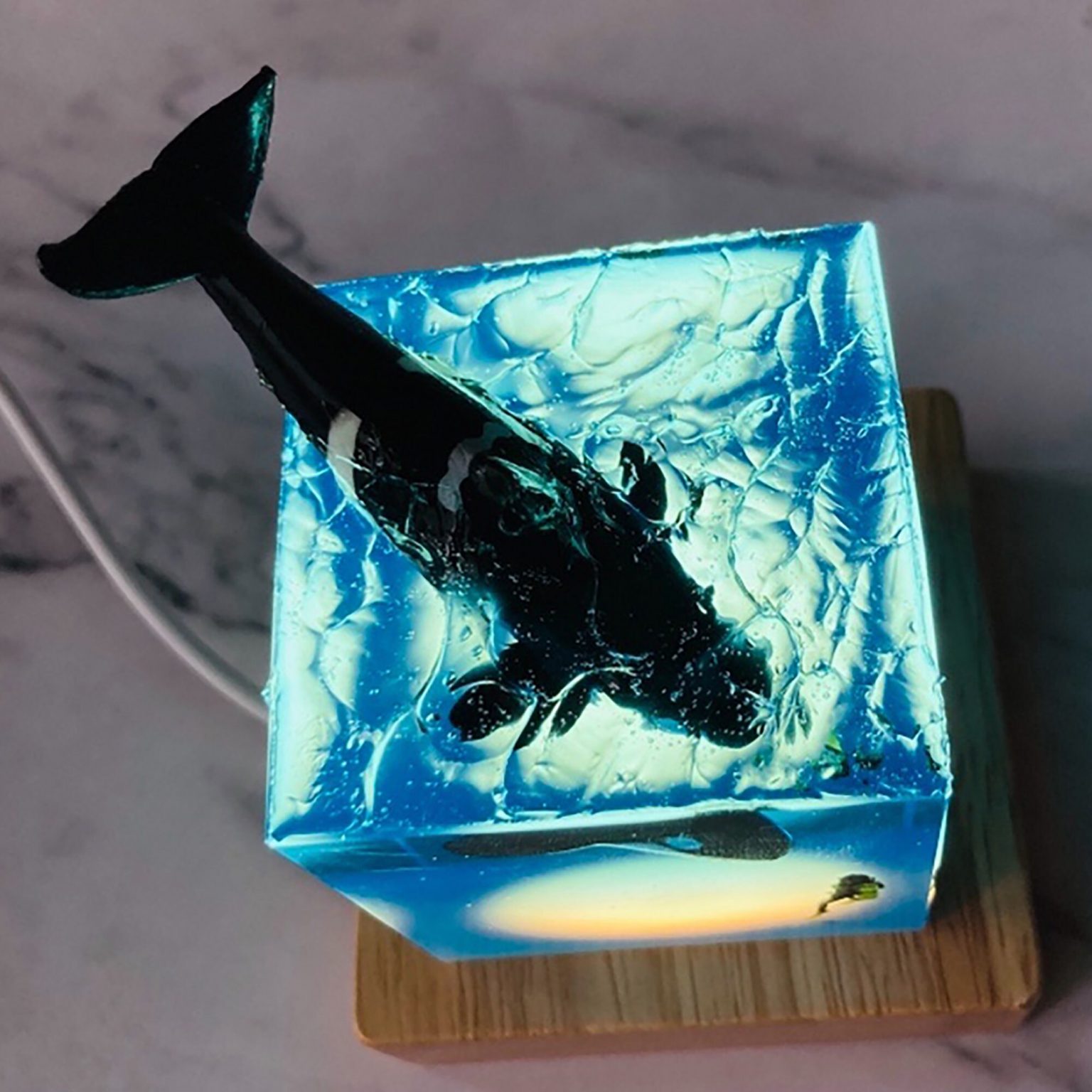 Transparent Marine Life Epoxy Resin Lamps - Resin Lamps Store