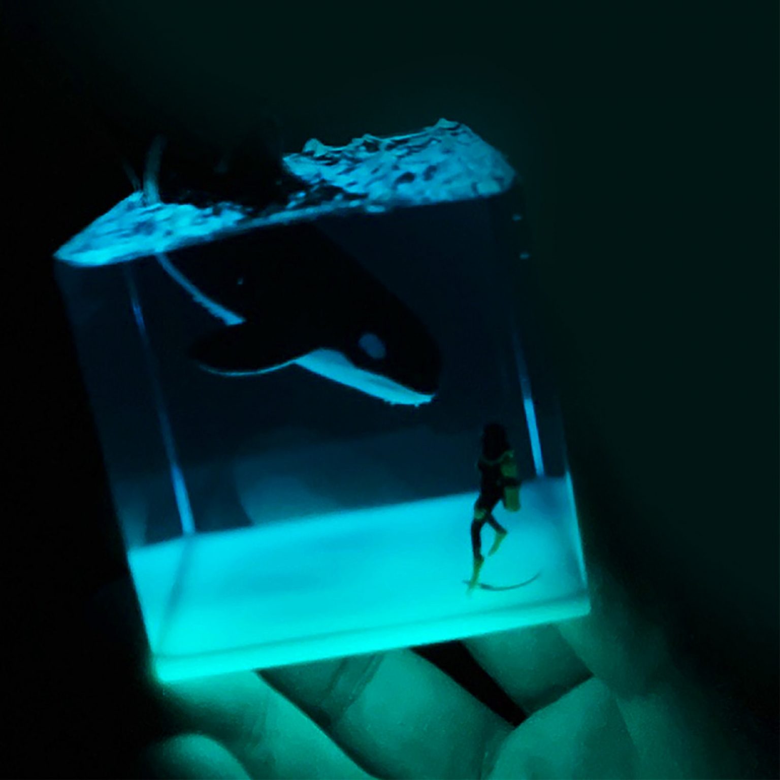 Transparent Marine Life Epoxy Resin Lamps - Resin Lamps Store